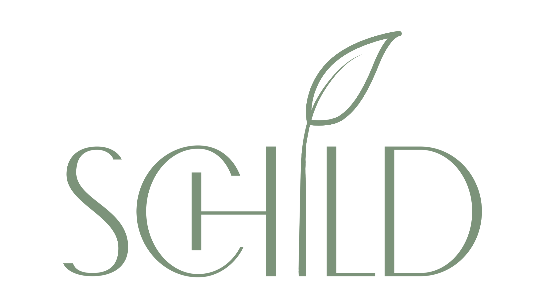 Understanding Electromagnetic Fields (EMF) – Schild